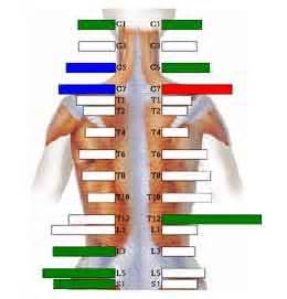COREscore - DREAM Wellness